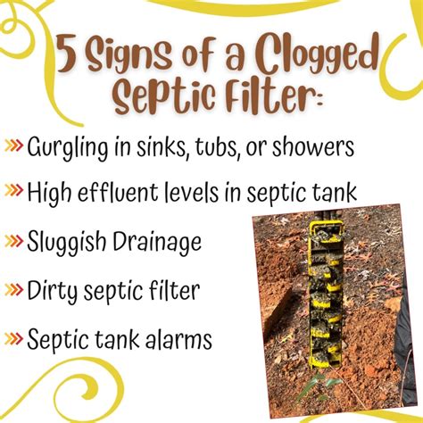 5 Signs Of A Clogged Septic Filter Company Money House So You