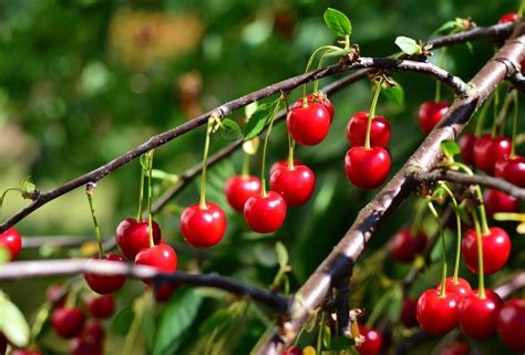 Предстоят промени в наредбата за командировките в страната ЗБУТ за начинаещи и не само за тях