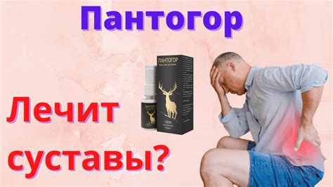 Пантогор Бесплатно для Суставов Отзывы Цена Инструкция Youtube