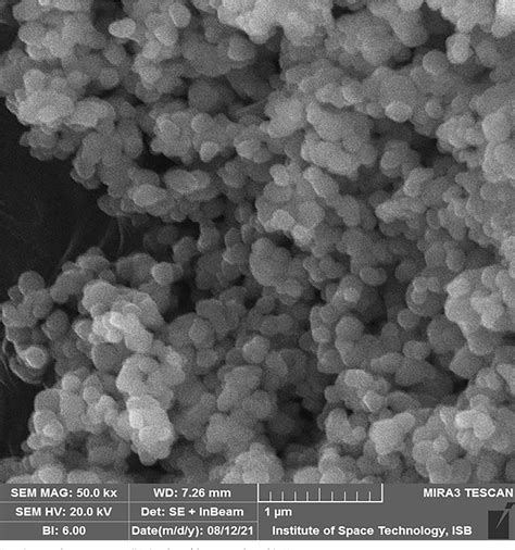 Figure 2 From Antifungal Activity Of Green Synthesized Selenium Nanoparticles And Their Effect