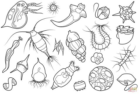 Sea Plankton Coloring Pages 2025