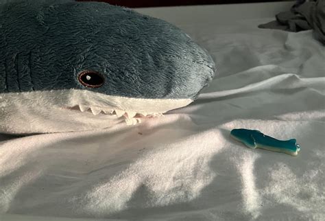 Blåhaj Meets Edible Haj Rblahaj