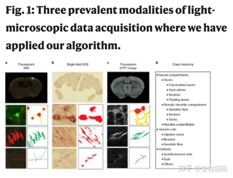 每日文摘 2020年10月01日 知乎