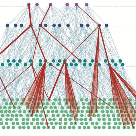 Schematic Representation Of The Network Hierarchy In The Human Download Scientific Diagram