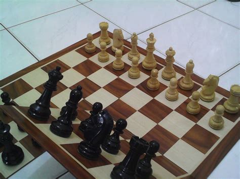 Catur Murah Catur Magnet Produk Terbaru Dari Duta Chess Dengan Harga Terjangkau