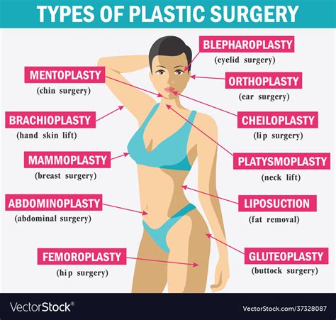 What Are All The Diffe Types Of Plastic Surgery Done Infoupdate Org