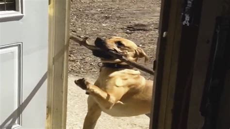 시리즈 Git And Github 핫걸코더지망생