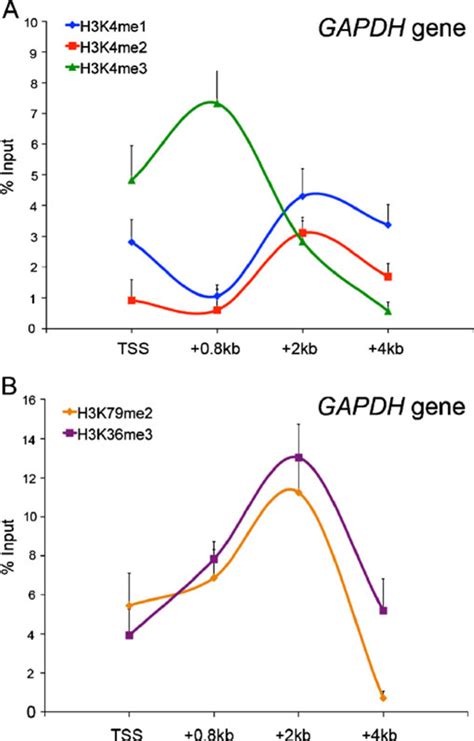 The Spatial Distribution Of H3k4me3 Across The Gapdh Gene Using