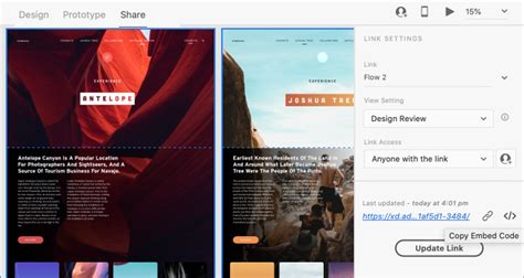 Learn How To Set Access Permissions While Publishing A Shareable Design