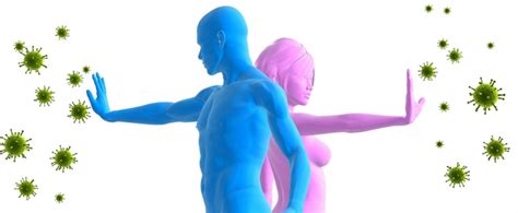 Փաստեր վիրուսների և բակտերիաների մասին Հիգիենայի հիմնական կանոնները Panarmenian Net