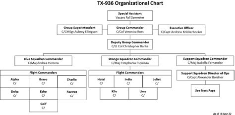 Chain Of Command AFJROTC TX