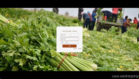 Pythonflask计算机毕业设计智能推荐的农产品信息服务平台（程序开题论文）计算机毕业设计python农家乐信息服务平台 Csdn博客