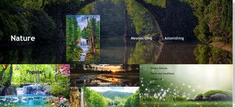 Poojitha Tatikonda On Linkedin Octanet Natureinspired