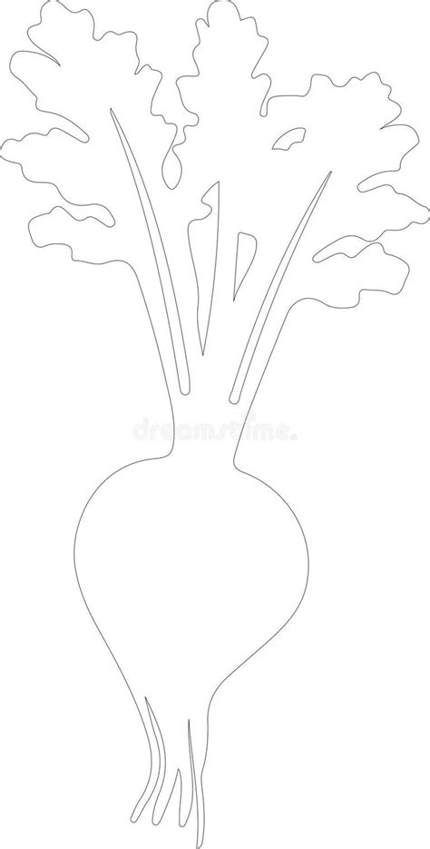 Parsnip Outline Stock Illustrations 112 Parsnip Outline Stock Illustrations Vectors And Clipart Parsnip Outline Stock Illustrations 112 Parsnip Outline Stock Illustrations Vectors And Clipart