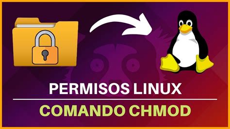 ¿qué Es El Comando Chmod En Linux