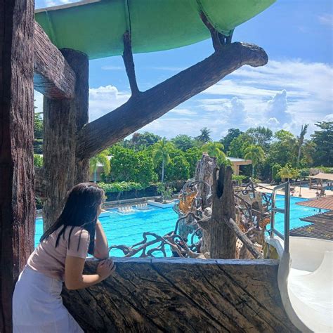 🏠🌾why People Still Use Grass Roofs In The Uk After 4500 Years