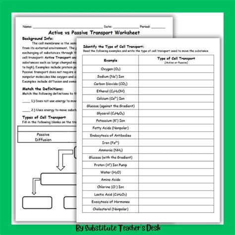 Active Vs Passive Transport Worksheet Cell Transport Tpt