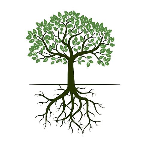 Tree Clipart With Roots Clipground