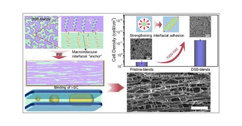 Strengthening Interfacial Adhesion And Foamability Of Immiscible Polymer Blends Via Rationally