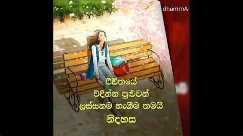 අහිමි වන සියල්ල සතුටින් අත් හරින්න පිං පිණිස නරබන්න Dhamma Youtube