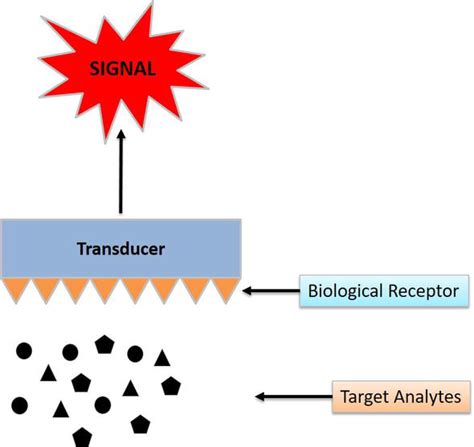 biosensors design development and applications intechopen