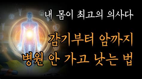 감기부터 암까지 병원 안 가고 낫는 법 내 몸이 최고의 의사다 Youtube