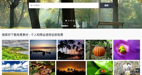 免费高清图片素材网站 知乎