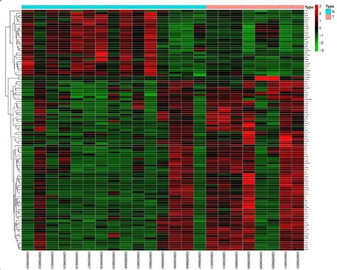 Heatmap Plot Of Total Degs Download Scientific Diagram