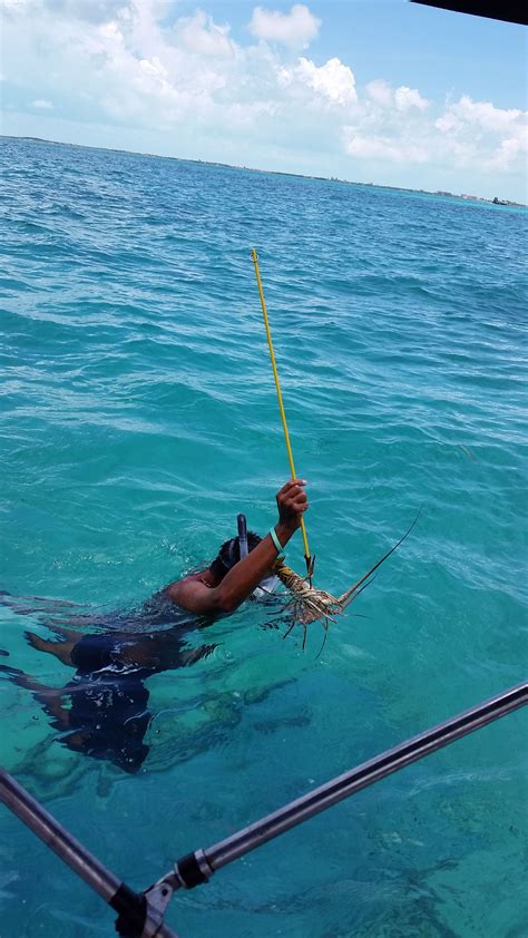 Scuba Diving Belize Ambergris Caye At Joseph Brittany Blog