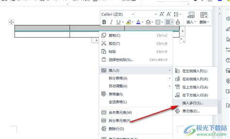 Wps Word文档怎么一次添加多行 Wps Word文档一次添加多行的方法 极光下载站