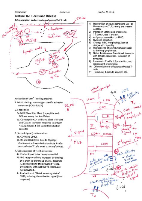 Lec16 Lecture Notes 16 Immunology Lecture 16 Lecture 16 And