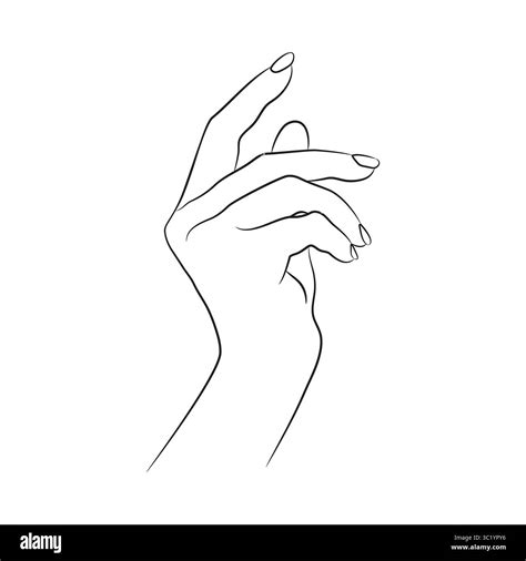 Hand Drawn Female Hand Human Hand Outline Elegant Hand Gesture