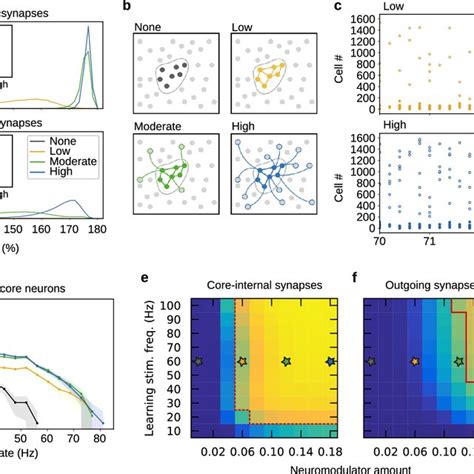 neuromodulation controls the extent of outgrowth and the activity download scientific diagram