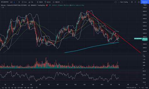 비트코인 일일시황220228장기관점