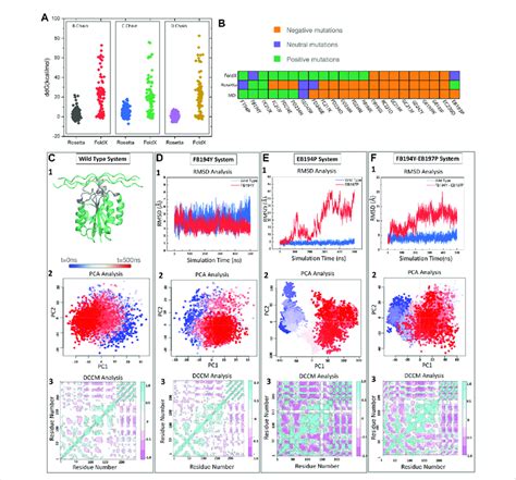 Pipeline For Selecting New Motifs A Foldx And Rosetta Are Used To Download Scientific
