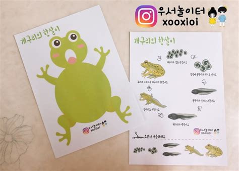 개구리의 한살이 네이버 블로그