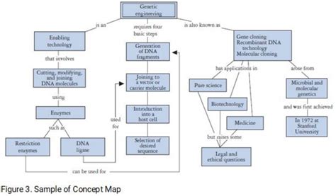 Concept Map Of Genetic Engineering United States Map
