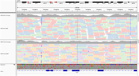 Post Alignment Visualization Griffith Lab