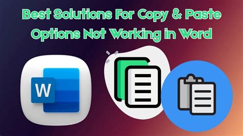 7 Fixes How To Resolve “copy And Paste Not Working In Word” Issue