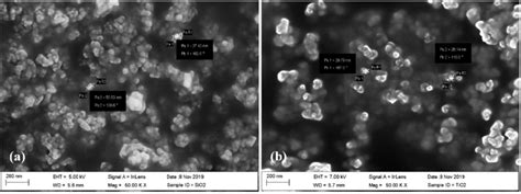 scanning electron microscopy sem micrographs of a sio2