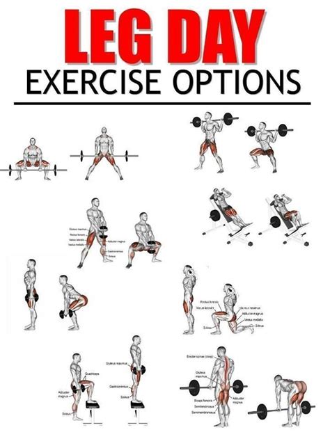 Pin On Strength Building