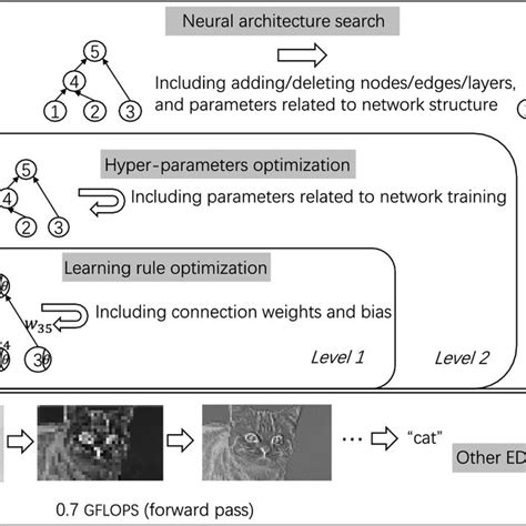 Different Application Levels Of Evolutionary Computing In The Deep Download Scientific Diagram