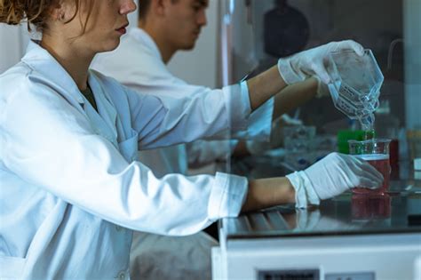 흐름 캐비닛 세포 배양 백신에서 장갑을 착용하고 일하는 젊은 연구원 멸균 조건 생명 공학에 대한 스톡 사진 및 기타 이미지