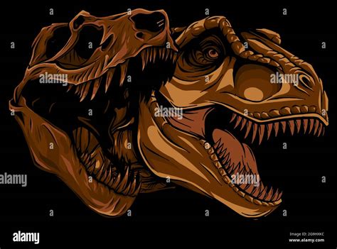 Tyrannosaurus Rex With Skull Fossil Vector Illustration Design Stock Vector Image And Art Alamy