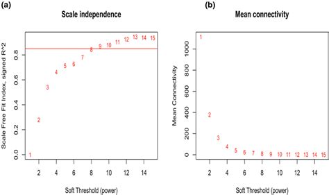 Analysis Of Soft‐thresholding Values β A Calculation Of Scale‐free