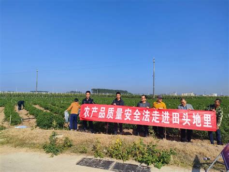 遂溪县农业农村局信用体系建设12月份简报遂溪县人民政府公众网站