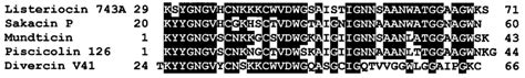 Alignment Of The Predicted Amino Acid Sequence Of Listeriocin 743a With Download Scientific