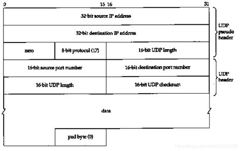 ip、tcp、udp头部长度汇总 udp头长度 csdn博客
