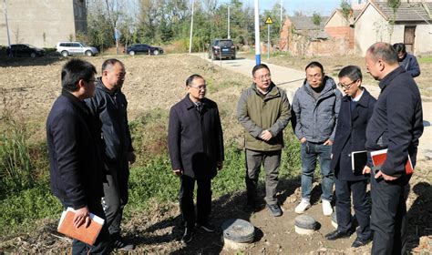 金胜庆深入武桥双忠庙两乡镇调研五河县人民政府