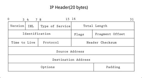Python 使用 Scapy 分析网络流量 无涯教程网